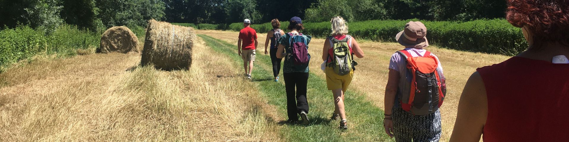 L'art de marcher en pleine conscience - Selvea nature